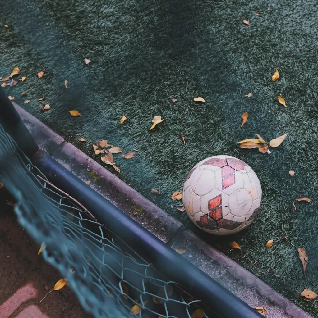 5 Legenda Sepak Bola Yang Mengubah Sejarah Dunia Olahraga - Backup Otak